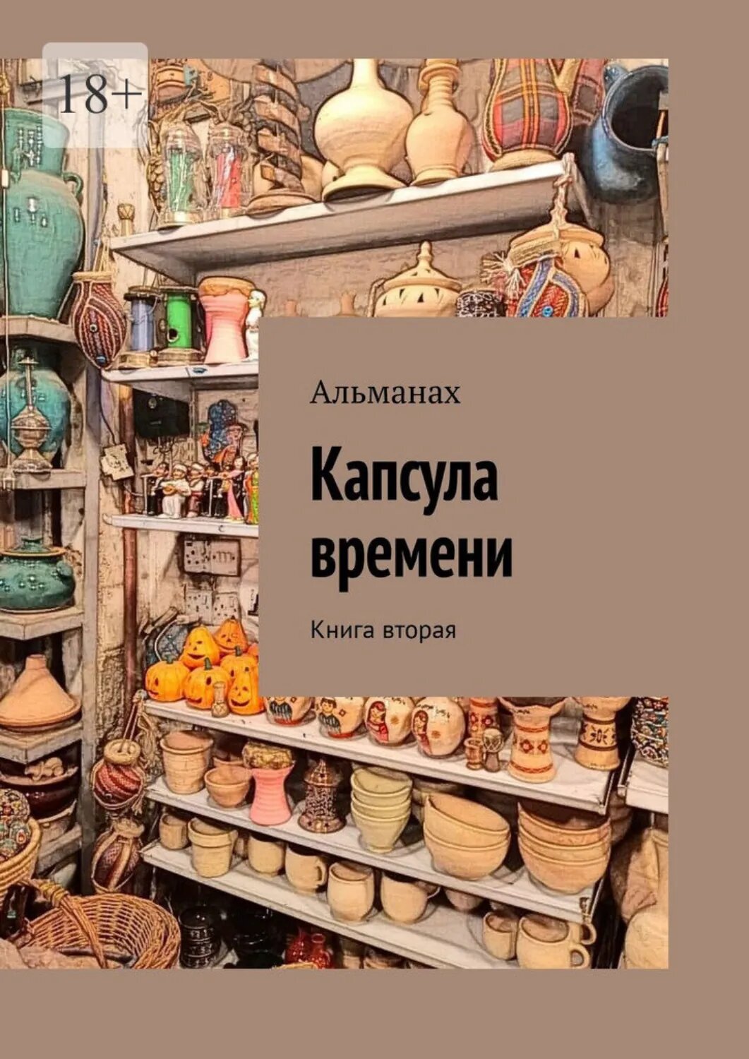 Капсула времени. Книга вторая [Цифровая книга]