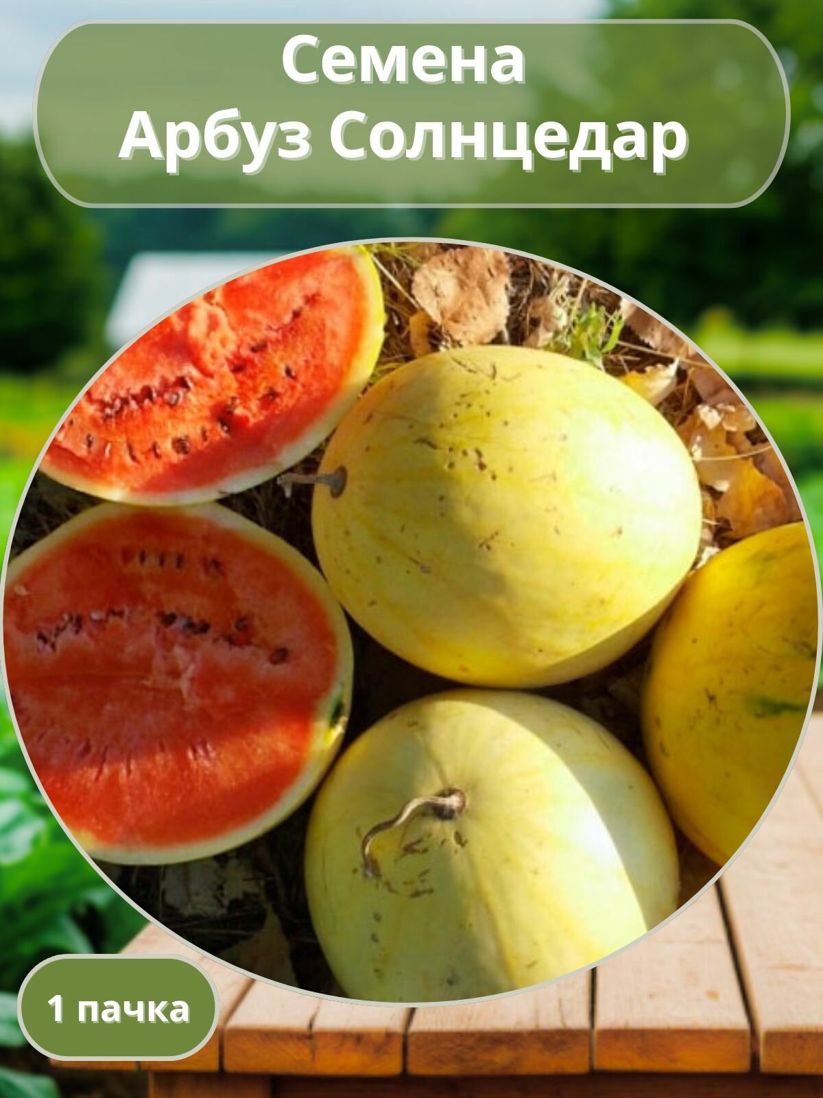 Арбуз Солнцедар, семена 10 шт