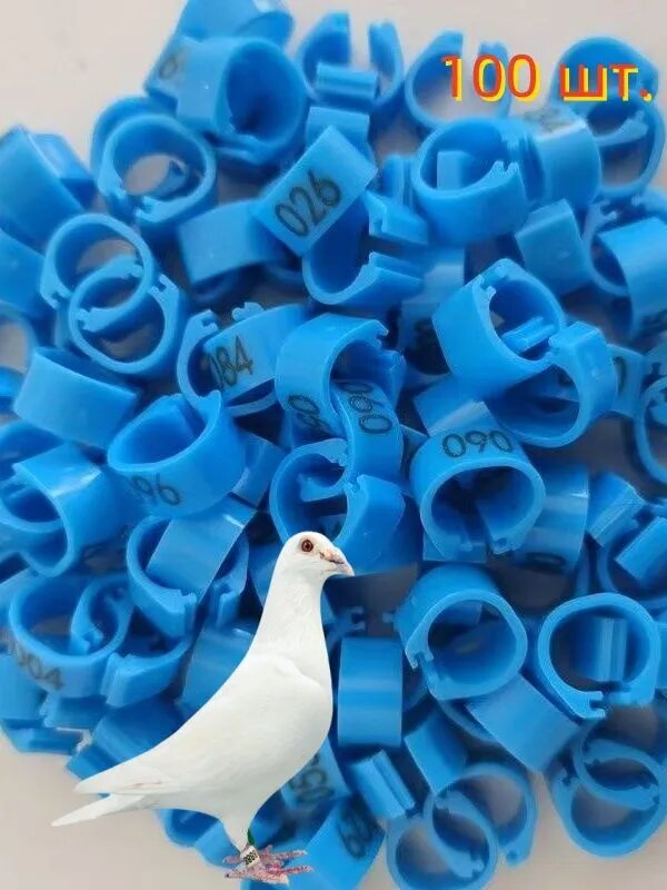 100 шт. Меточные кольца для птиц 8мм , маркировка для голубей, Меточные кольца