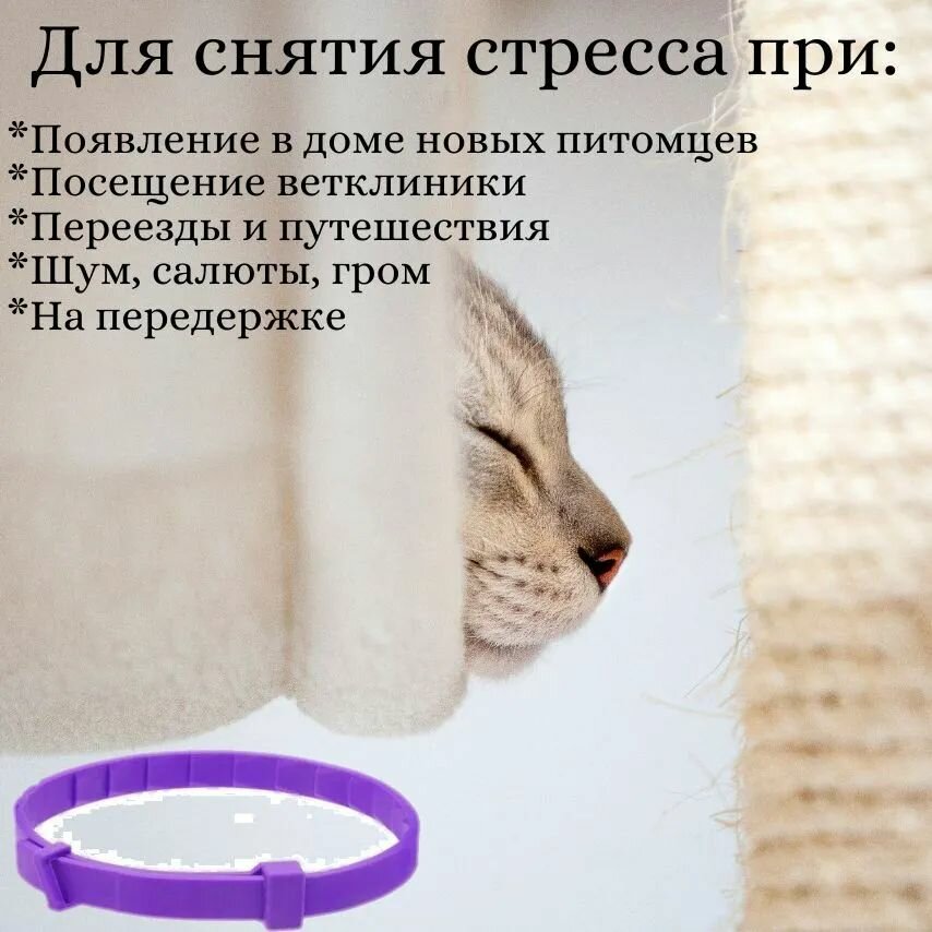 Ошейник успокаивающий для кошек