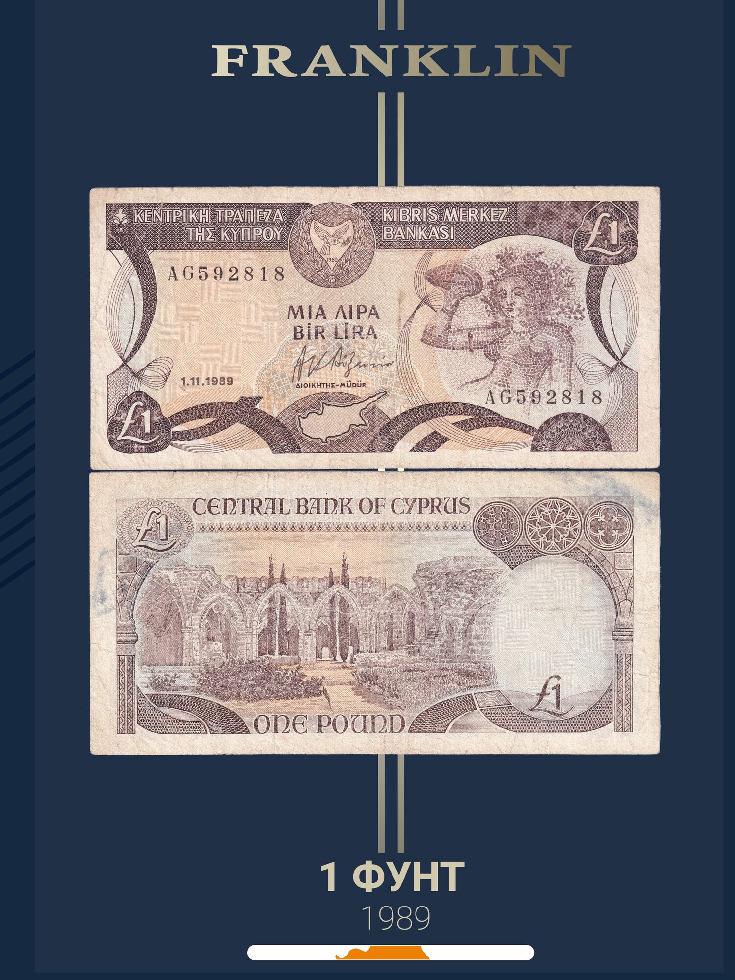 Банкнота Кипр 1 фунт ONE POUND 1989 год Fine (F) Pick 53