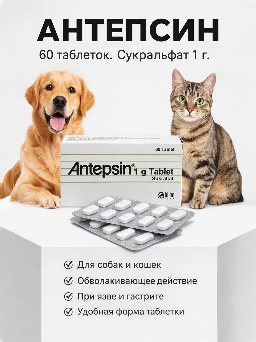 Антепсин 1г (Antepsin 1g) 60 таблеток для животных (срок годности 10/2029)