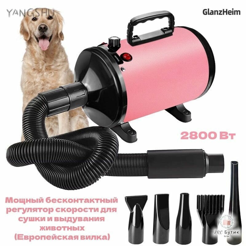 Фен-компрессор для сушки животных 2W оснащёный функцией защиты от пересушивания волоса, лёгкий, тихий и мощны