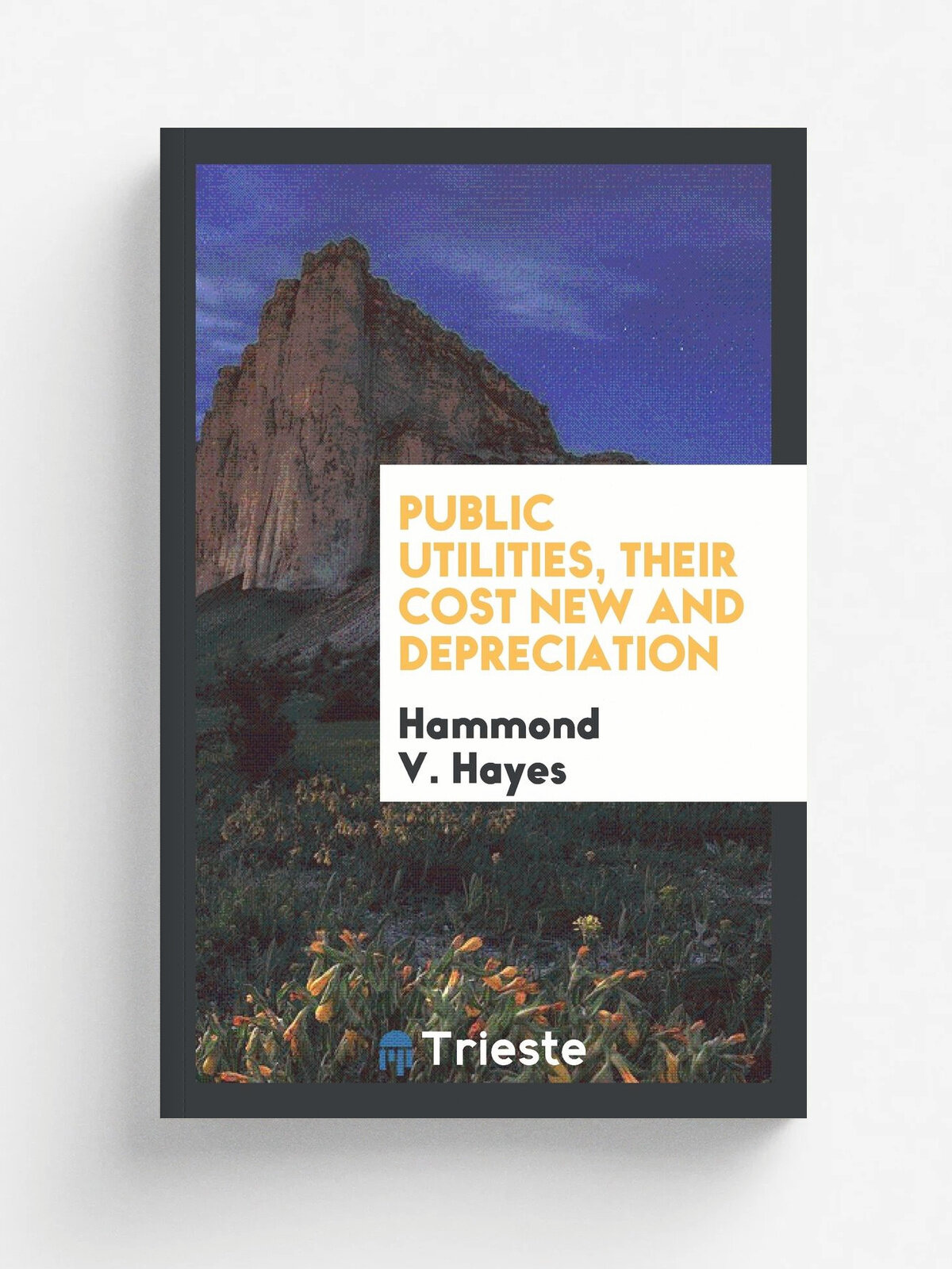 Public utilities, their cost new and depreciation