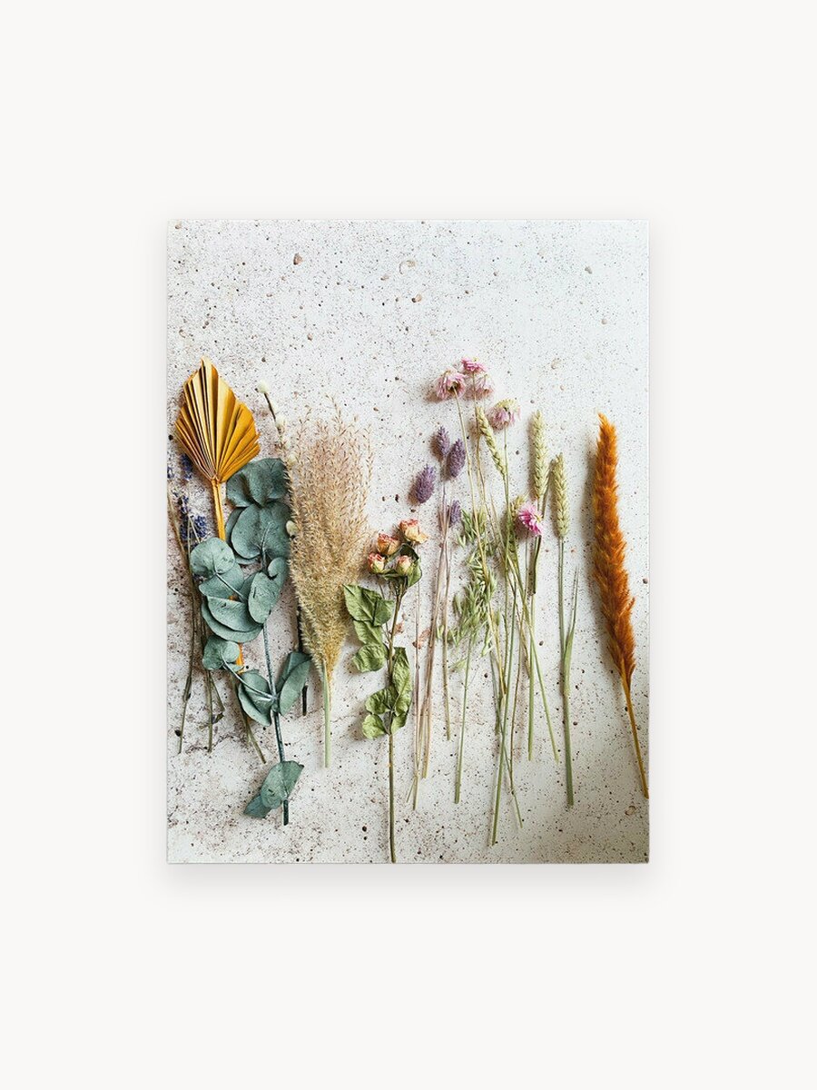 Интерьерная картина на холсте "Гербарий с сухоцветами" в скандинавском стиле, размер 22x30 см