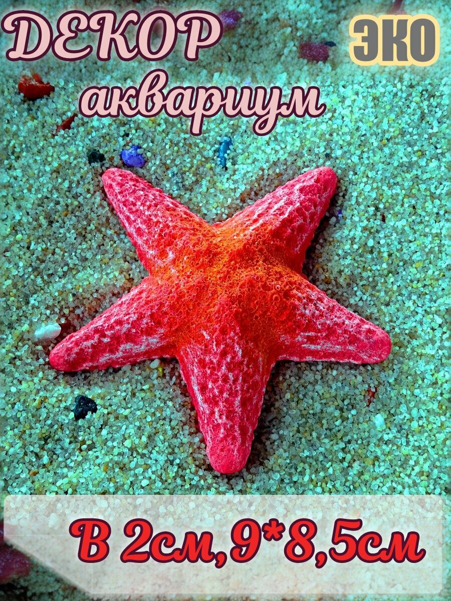 Морская звезда коралл ЭКО "Звезда Пористая", ручная работа, биопластик, высота 2 см, длина 9 см