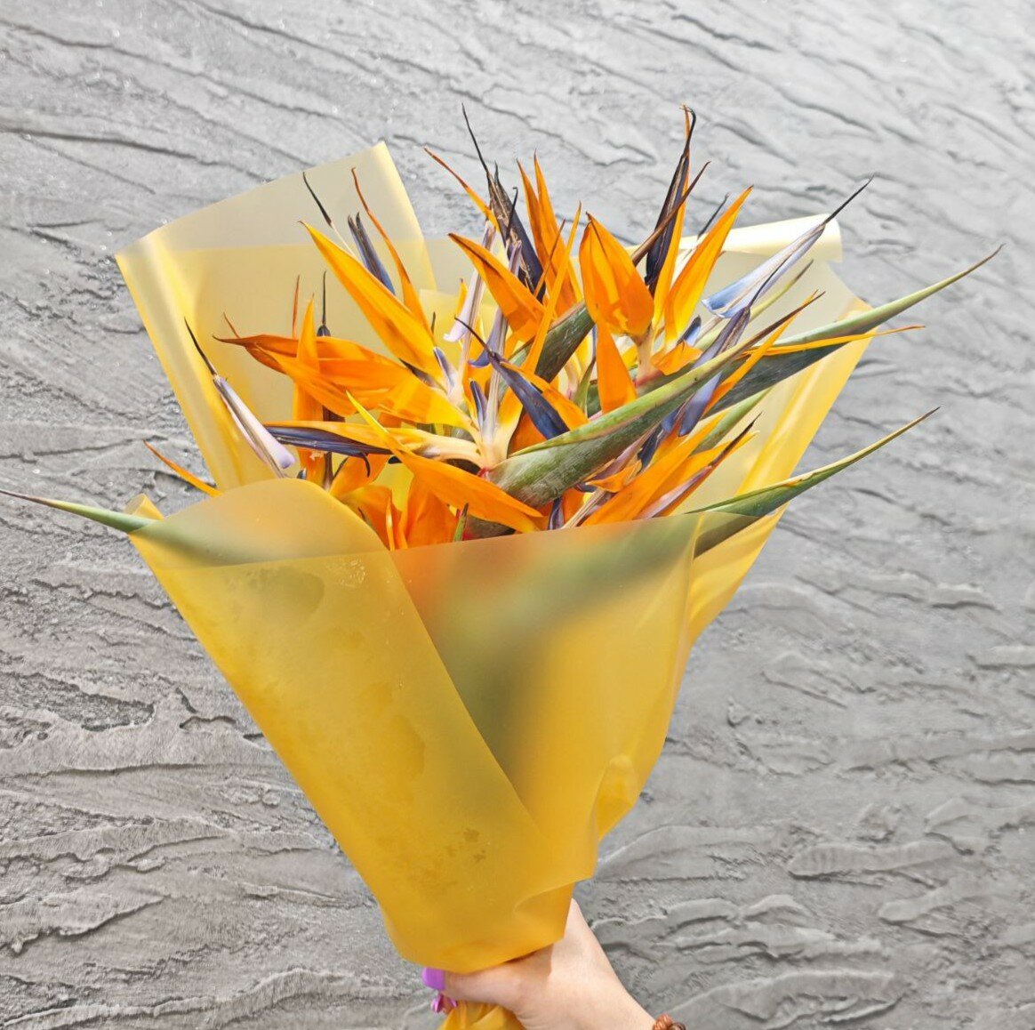 Букет из экзотических цветов стрелиция "Райская птица". Дизайнерский букет из стрелиций