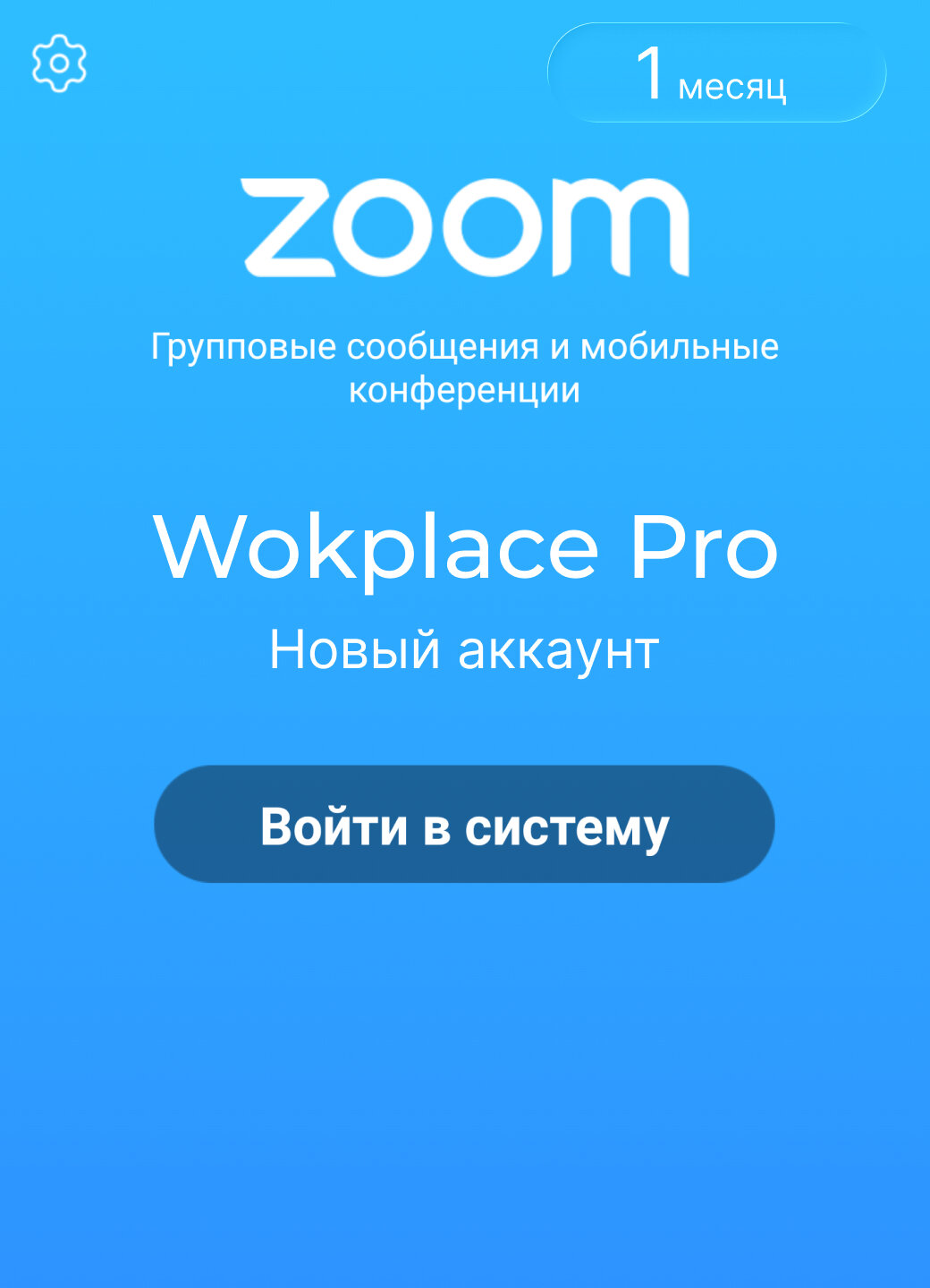 Zoom Wokplace Pro подписка на 1 месяц (Активация на ваш новый аккаунт)