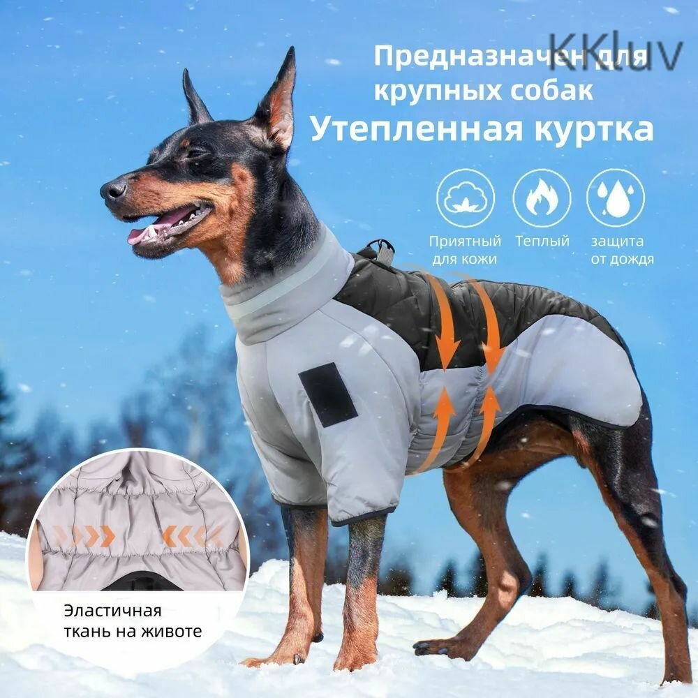 Одежда для животных