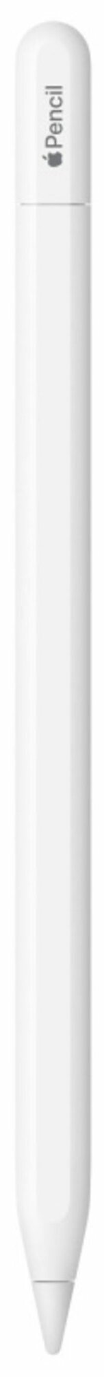 Стилус Apple Pencil USB-C — фото 1