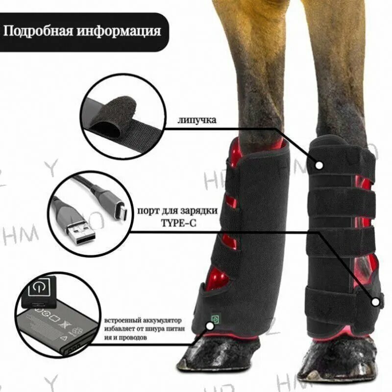 Физиотерапия ноги домашней лошади правая нога B