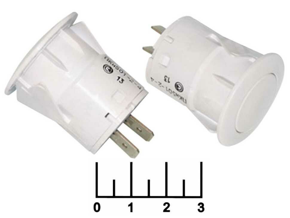 Кнопка с фиксацией ПКН501-2-4 (1002007)