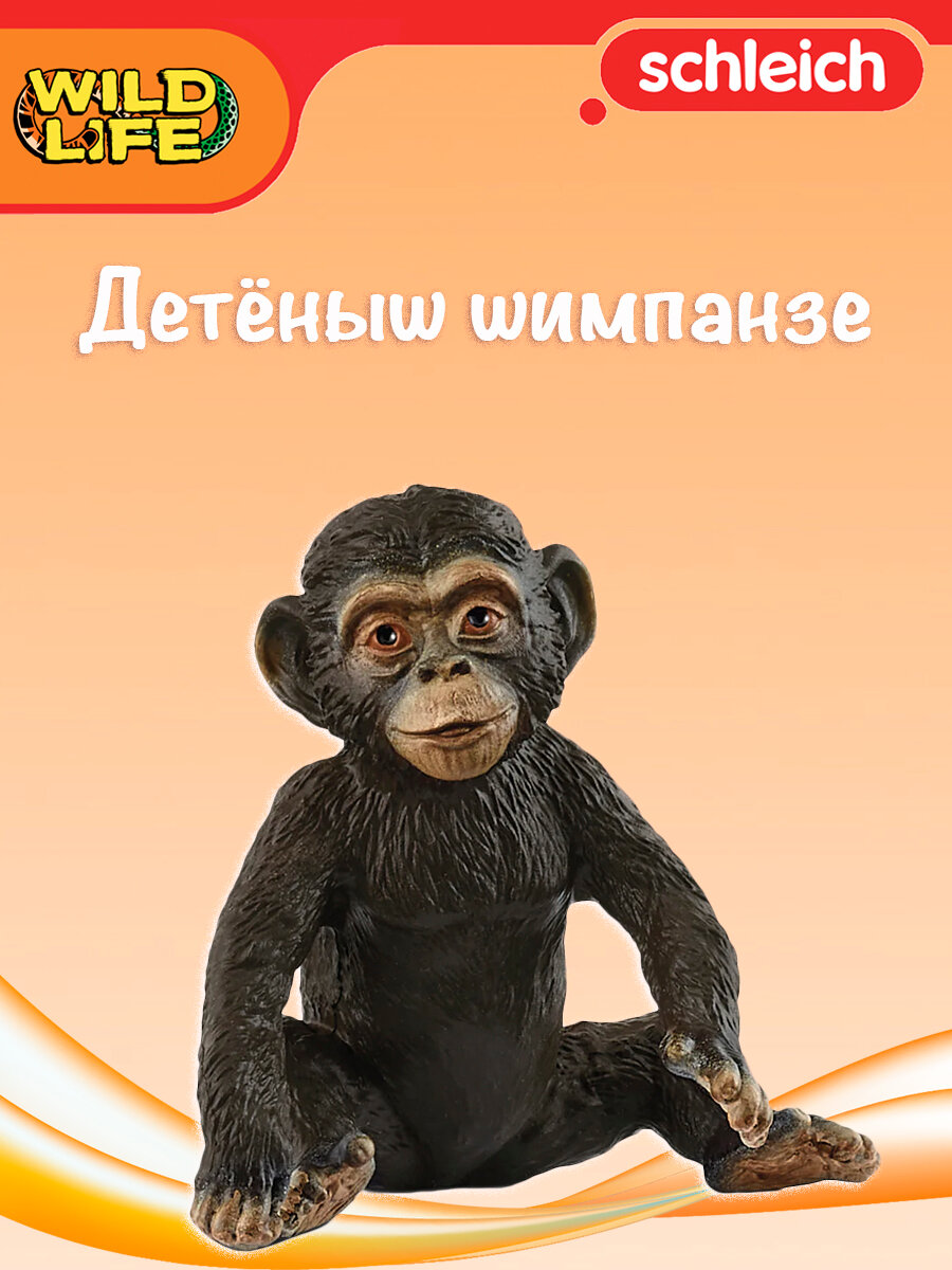 Schleich Wild Life Фигурка "Детёныш шимпанзе", для детей от 3 лет, 14884