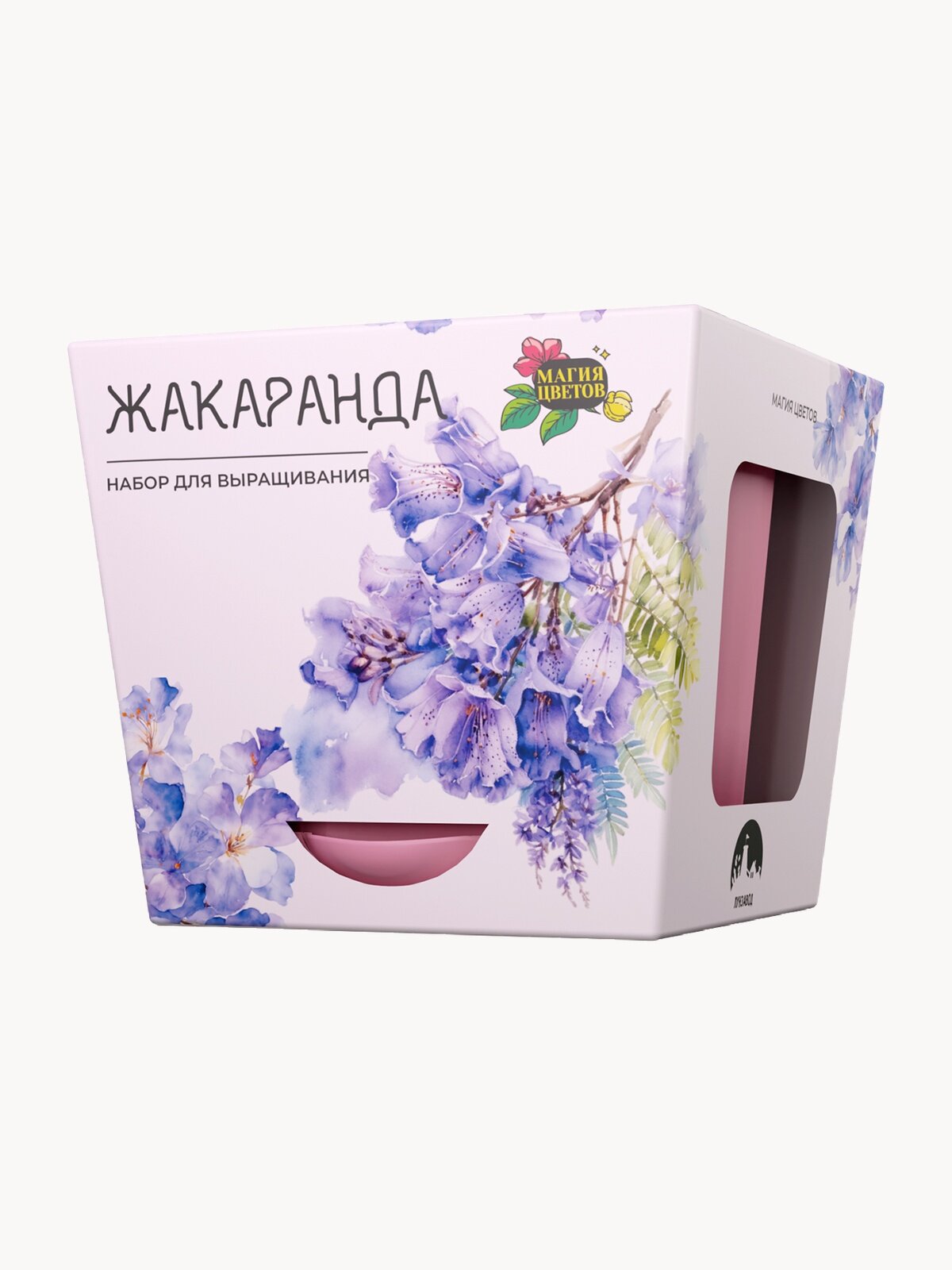 Набор для выращивания растений "Магия цветов", Фиалковое дерево жакаранда, вырасти сам
