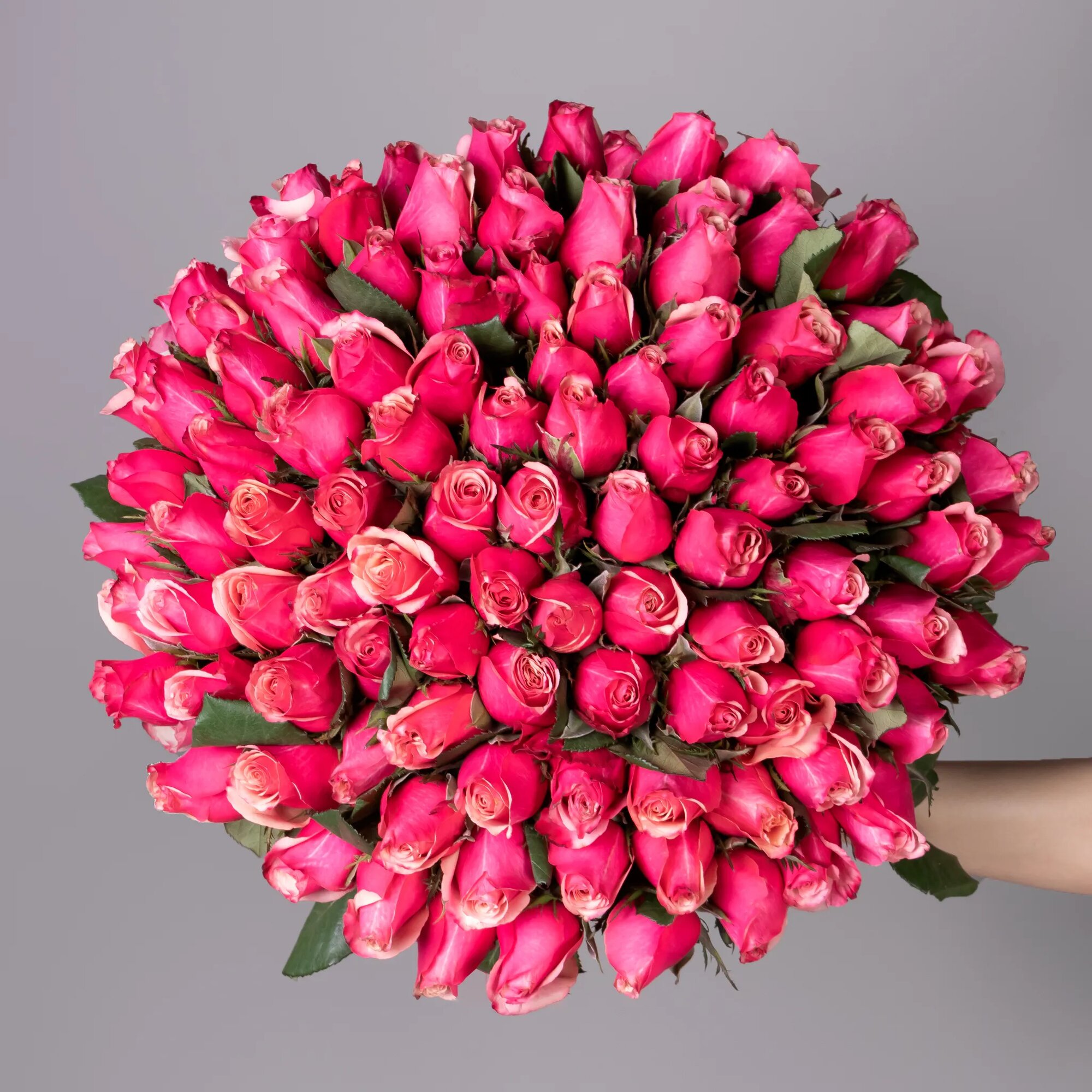 Букет Роза "Помпиду" 101 шт Высота 40 см Премиум от "Простоцветы"