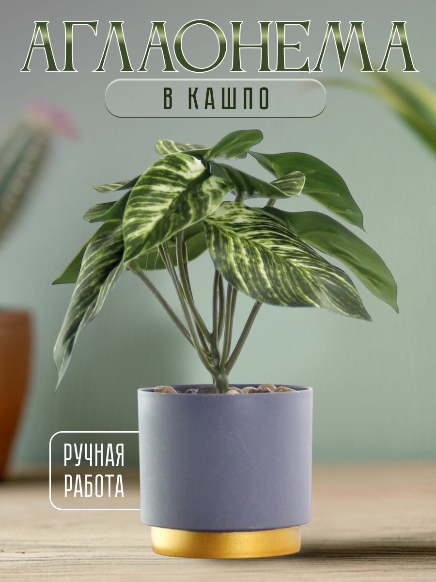 Искусственный цветок Аглаонема 19 см в горшке пластик