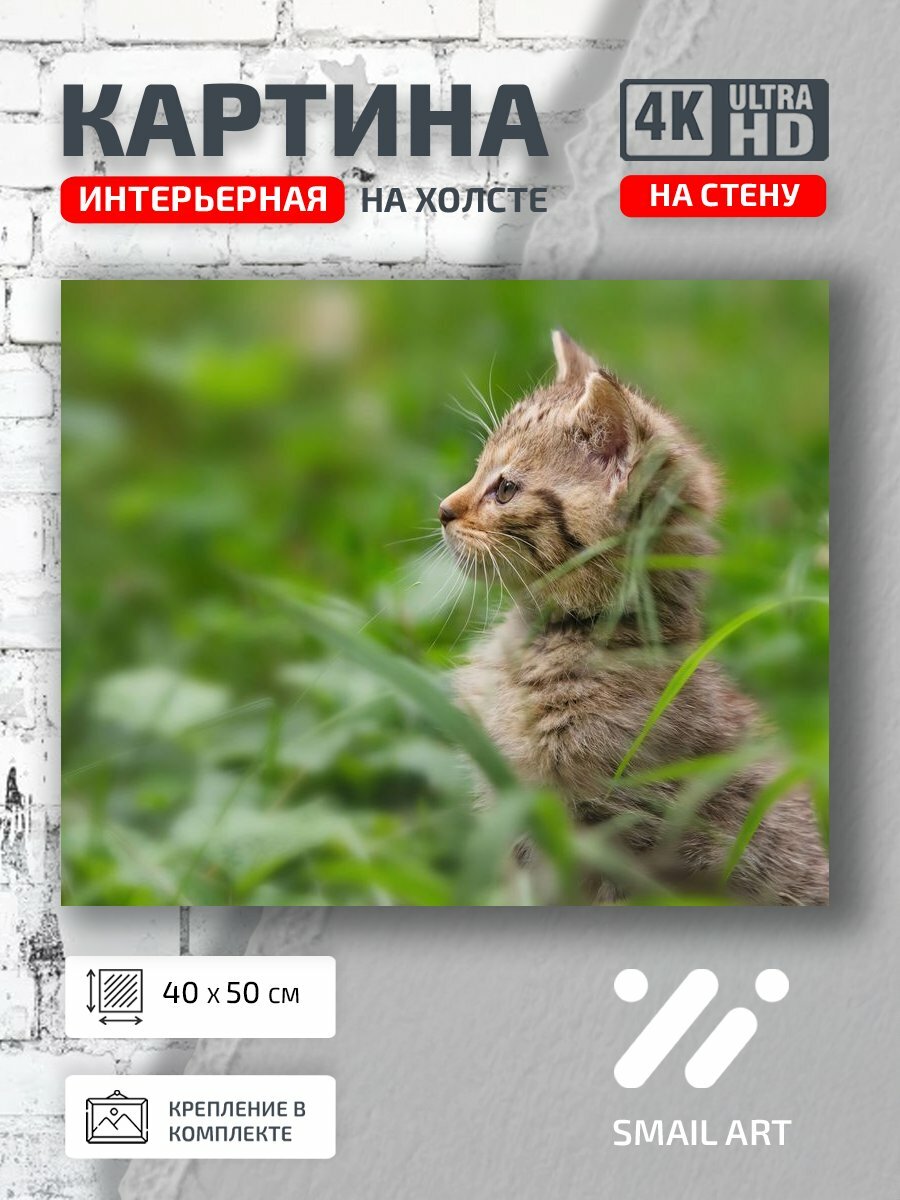 Картина на холсте интерьерная 40 на 50 на стену Траве Animal для спальни animal style декор