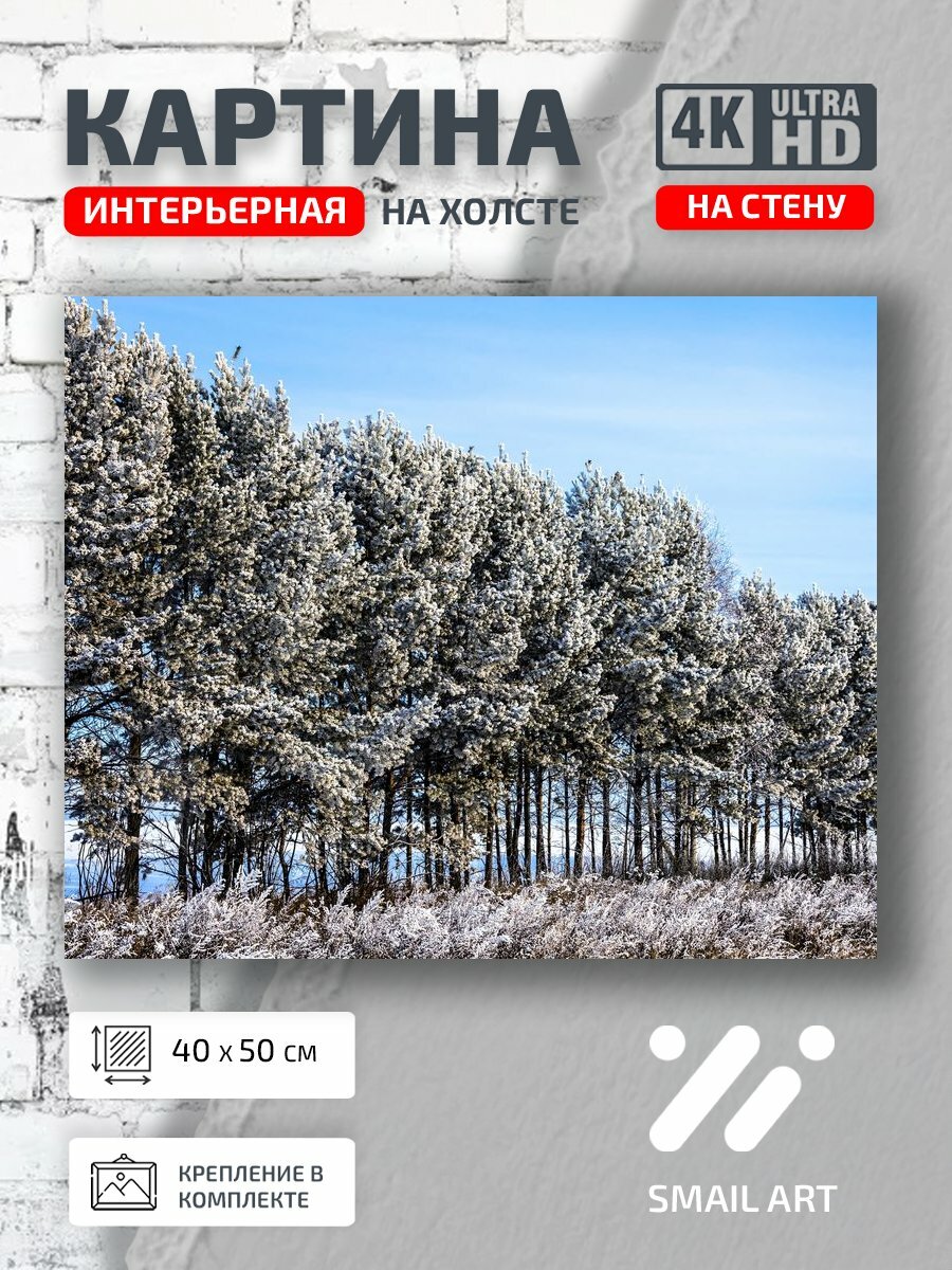 Картина на холсте интерьерная 40 на 50 на стену Зима Landscape для кабинета пейзаж интерьер