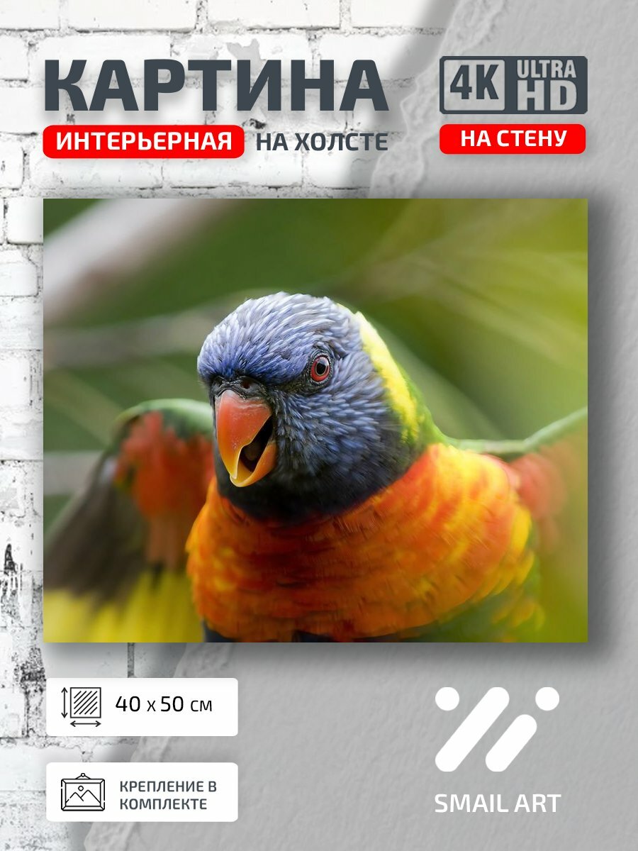 Картина на холсте интерьерная 40 на 50 на стену Волнистые Macro для кабинета макро интерьер