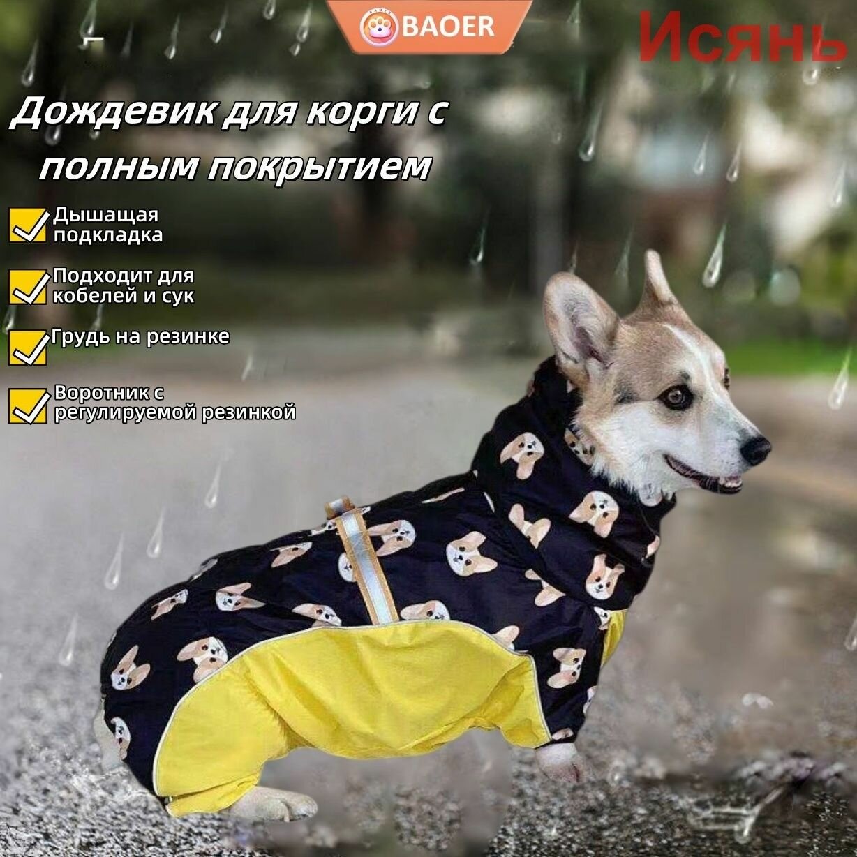 Одежда для животных