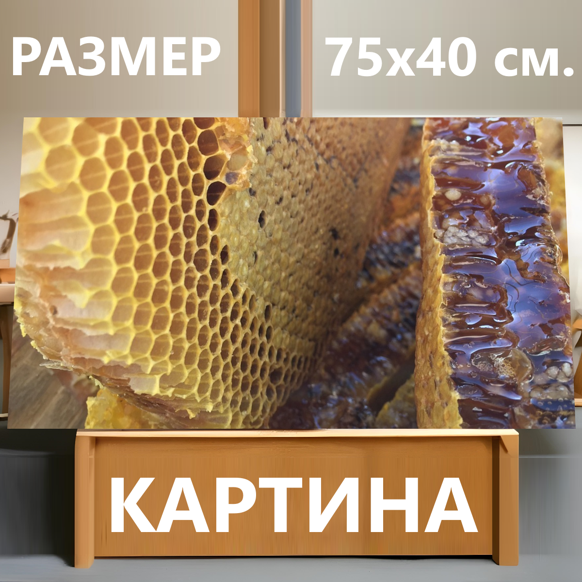 Картина на холсте "Почвенный мед, оригинальная экология, природные" на подрамнике 75х40 см. для интерьера