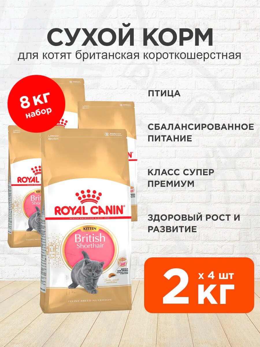 Корм сухой Royal Canin British Shorthair Kitten 34 для британских короткошерстных котят, 2 кг х 4 шт