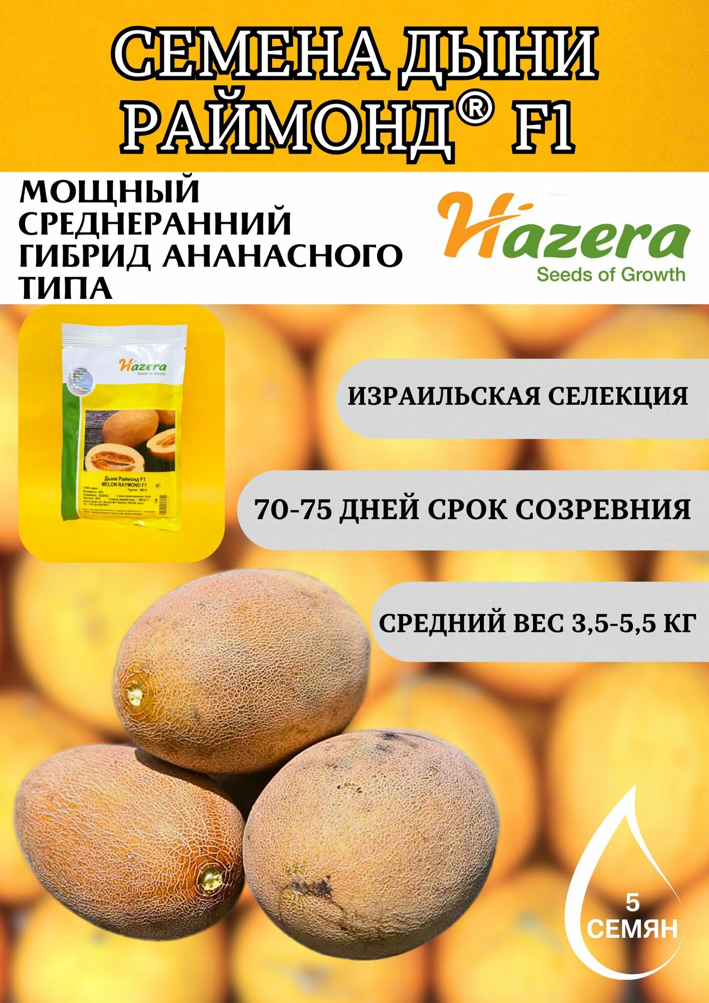 Семена дыни Раймонд F1 5 штук Hazera, профессиональные семена