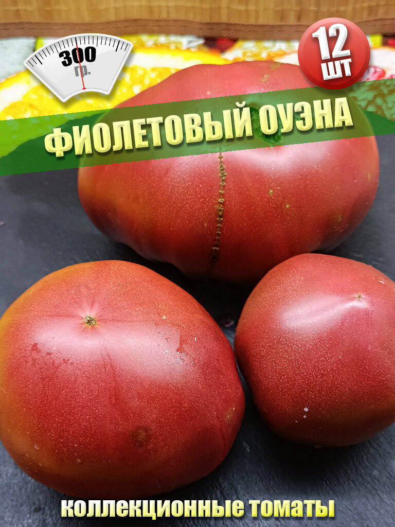 Томат "Фиолетовый Оуэна" семена 12шт