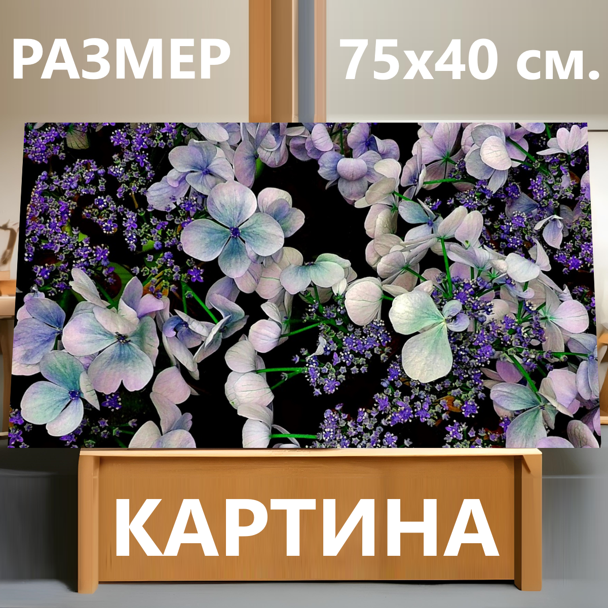 Картина на холсте "Гортензия, расцветает, цветок" на подрамнике 75х40 см. для интерьера