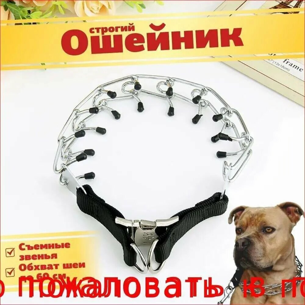 Строгий ошейник для крупных и cредних пород собак со съемными звеньями