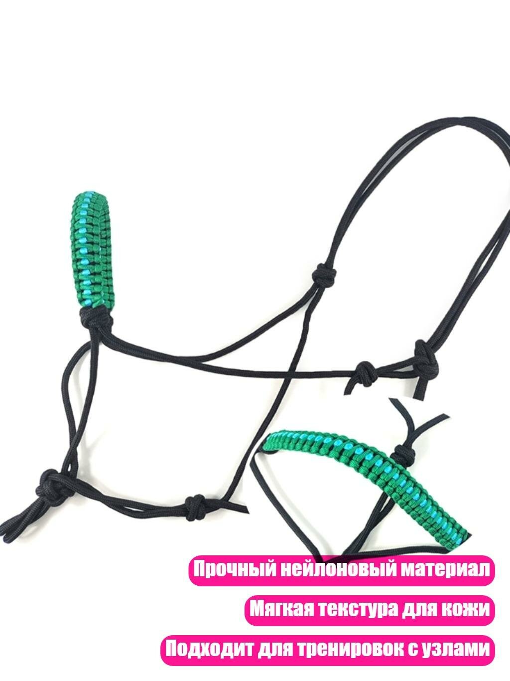 Повод для ведения лошади, Шестой стиль