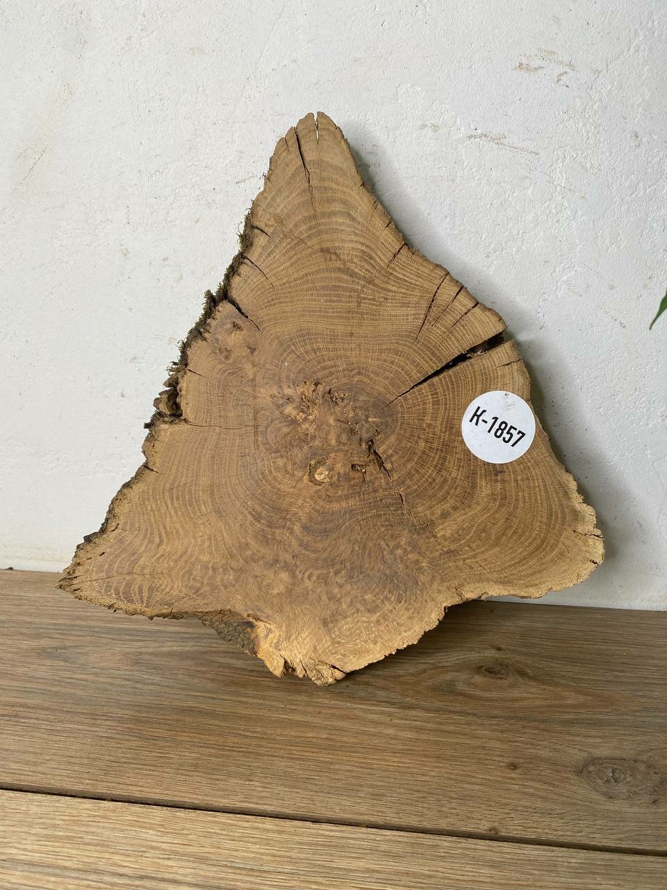Спил дуб . Габаритные размеры 31х30х5,5 см. Шлифованный с 2-х сторон. артикул к1857