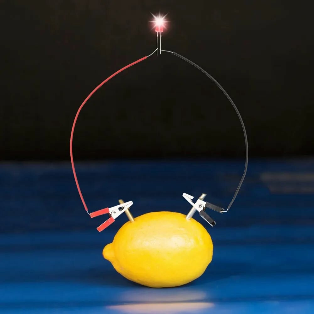 Научный Набор Для Экспериментов С Фруктами Из Металла Для Детей И Студентов 1 Комплект