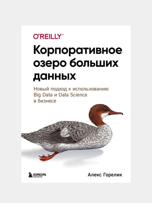 Корпоративное озеро больших данных, Алекс Горелик