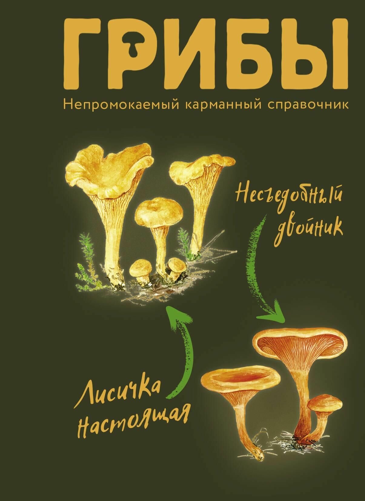 Книга "Грибы. Непромокаемый карманный справочник"