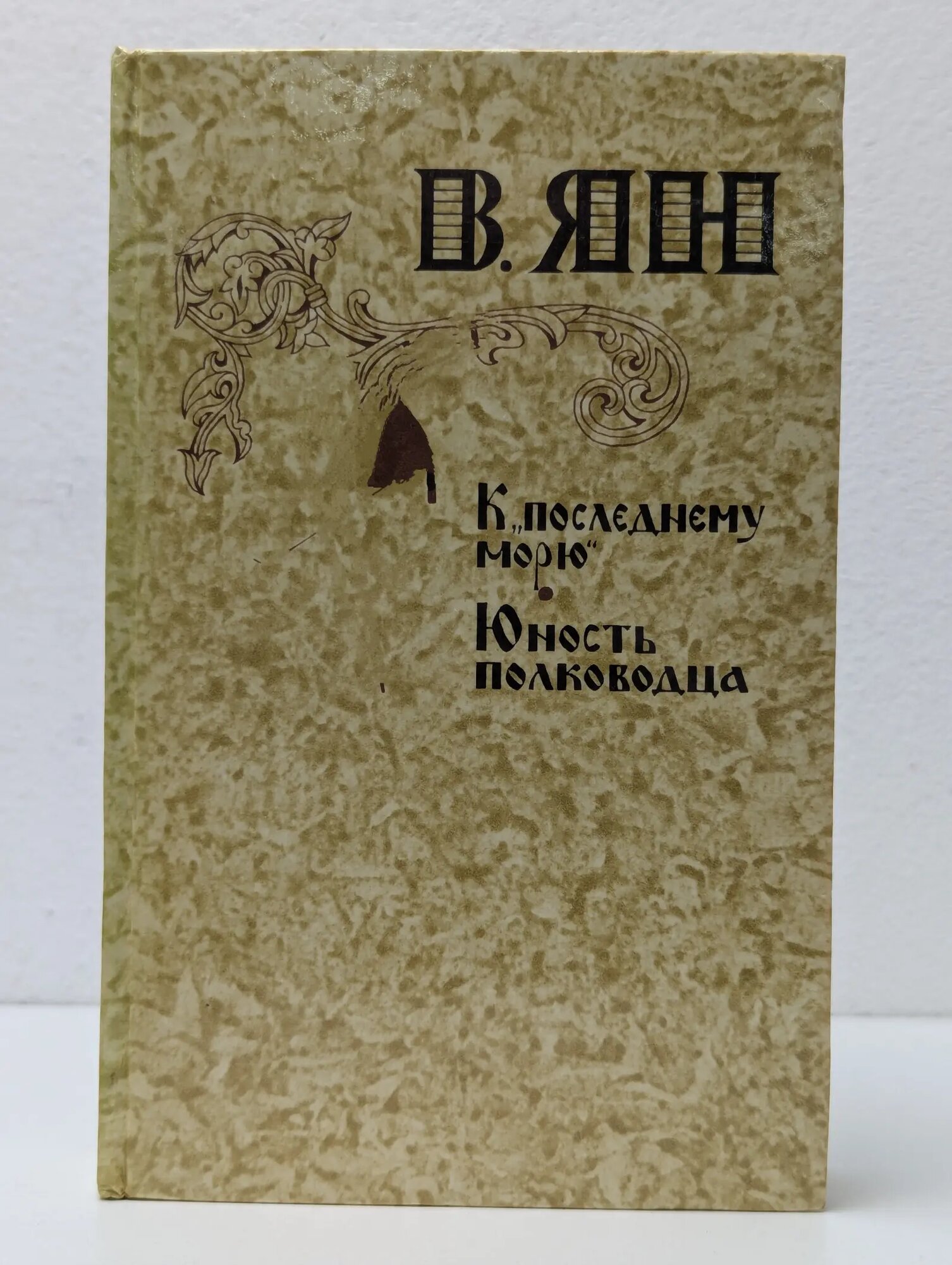 К "последнему морю". Юность полководца Ян Василий Григорьевич 1981