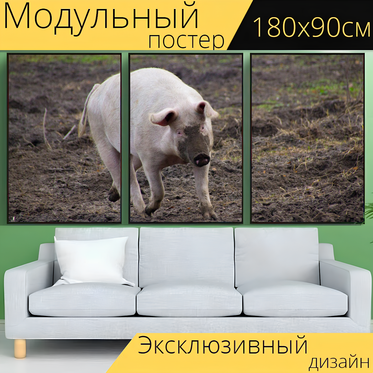 Модульный постер "Свинья, фермерский двор, грязный" 180 x 90 см. для интерьера на стену в тубусе