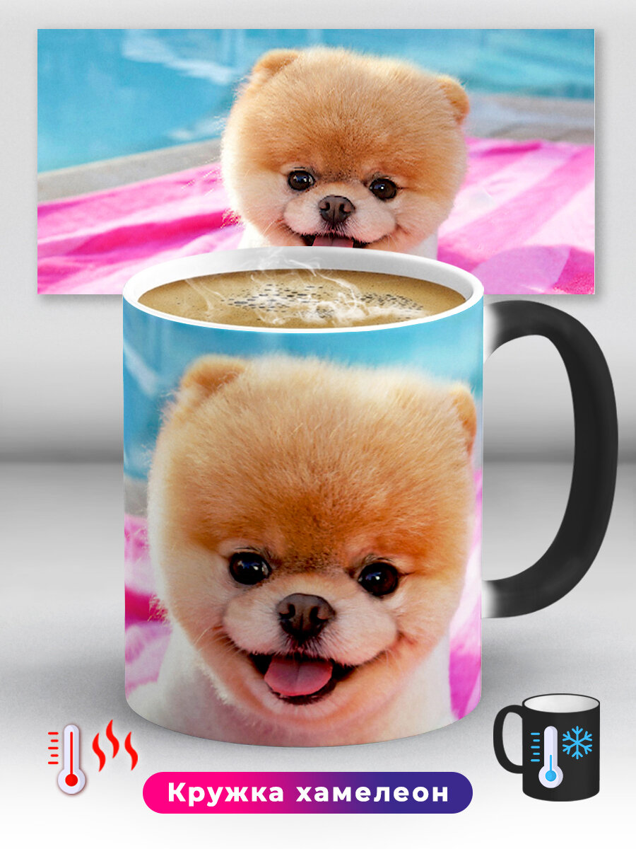 Кружка хамелеон Милый прикольный померанский шпиц Boo Боо Бу