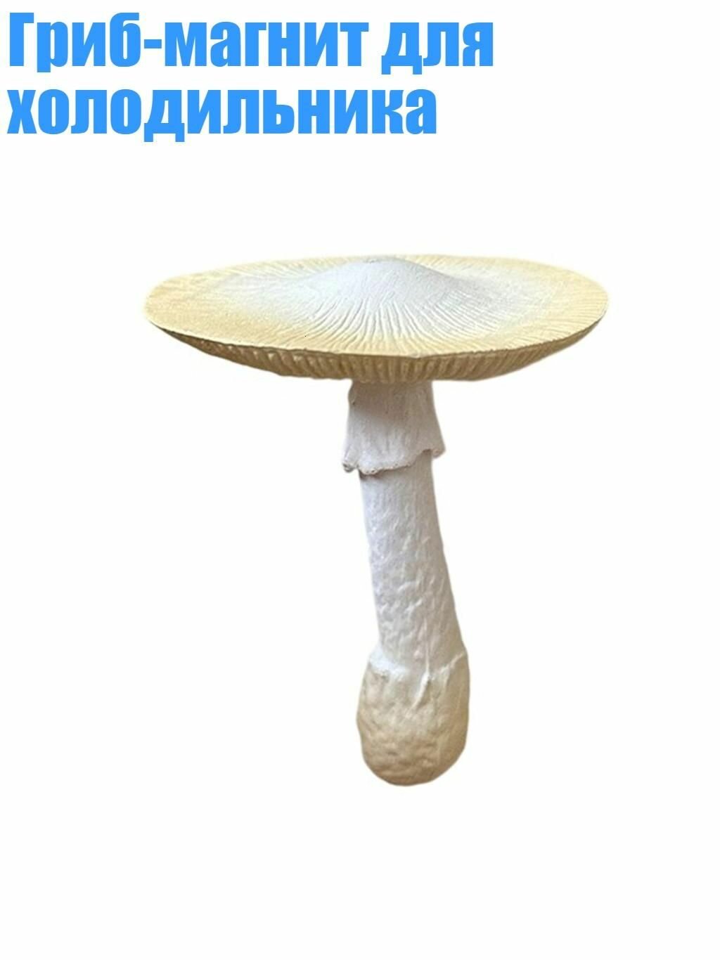 Гриб-магнит для холодильника, - 3