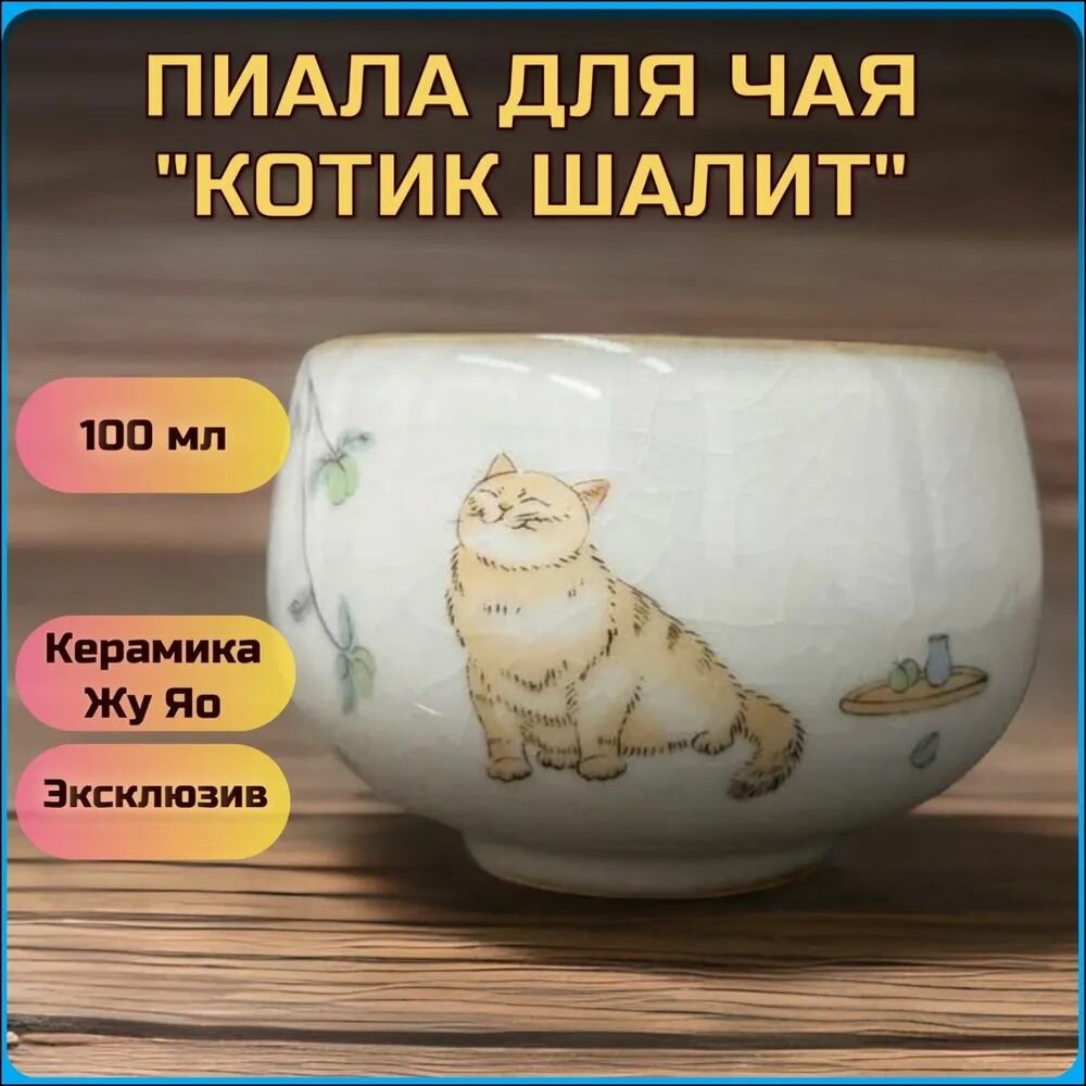 Пиала Котик шалит светло-бежевый, серый, 1 шт
