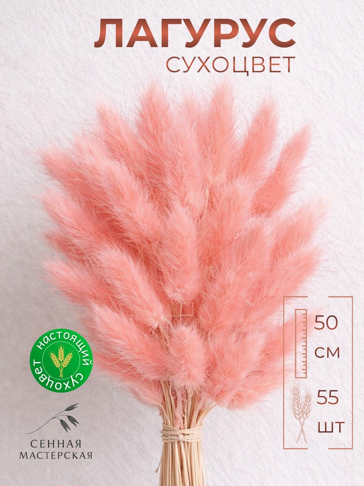 Лагурус сухоцветы для декора, букет из сухоцветов для интерьера, розовый 50 см, 55 шт.