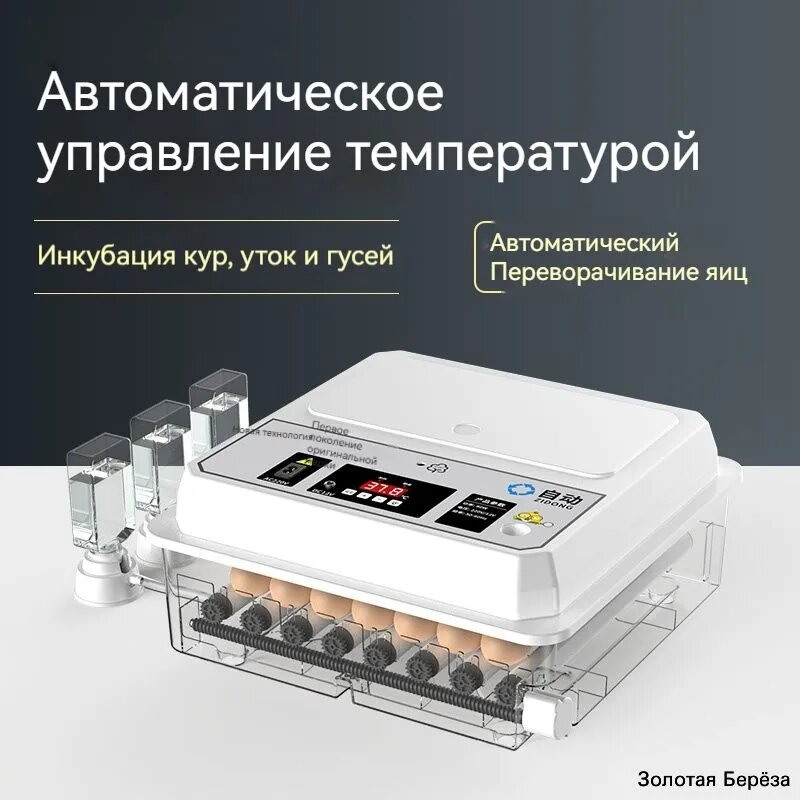 Маленький домашний инкубатор для яиц, полностью автоматический и умный