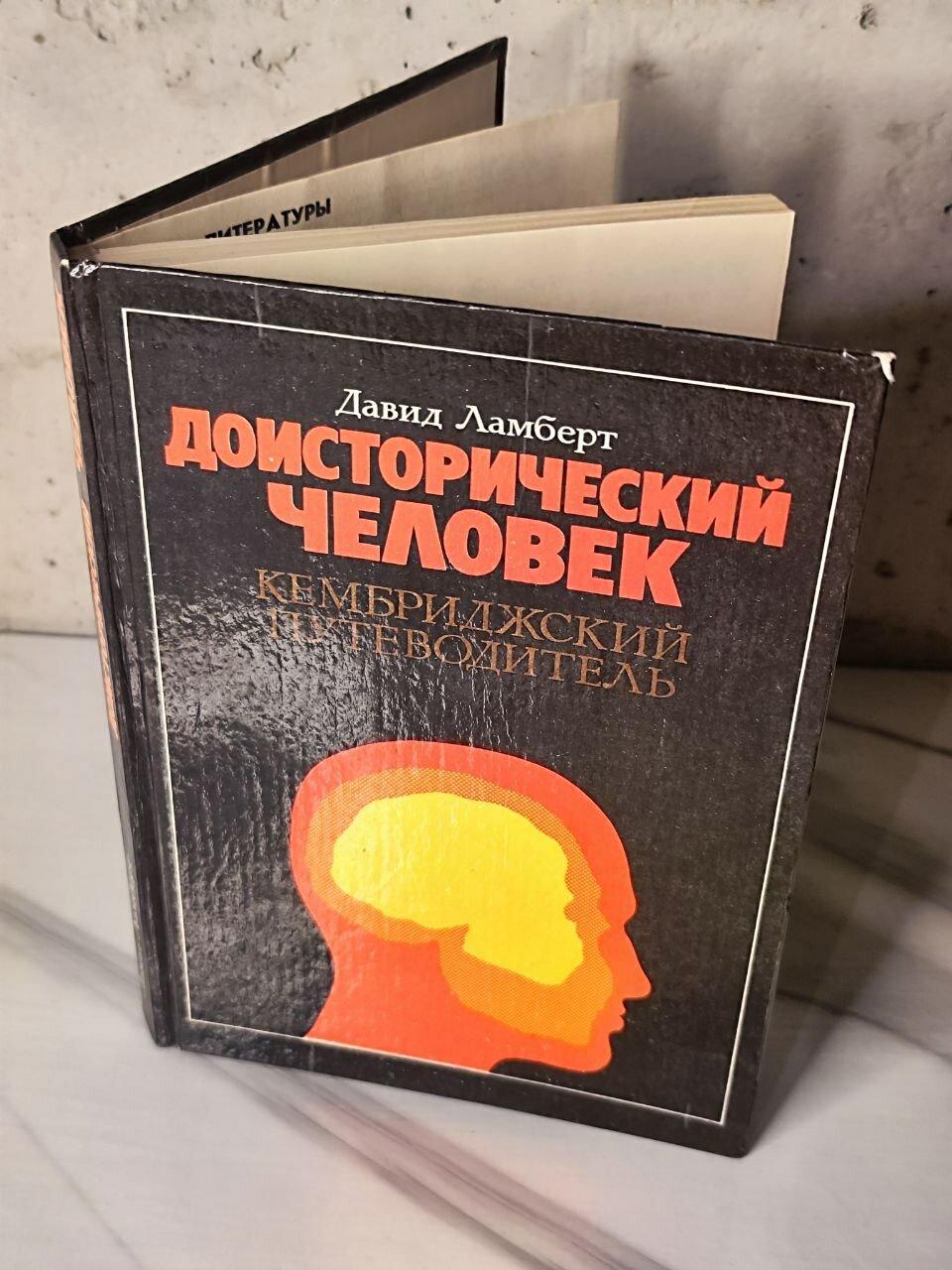 Доисторический человек. Кембриджский путеводитель