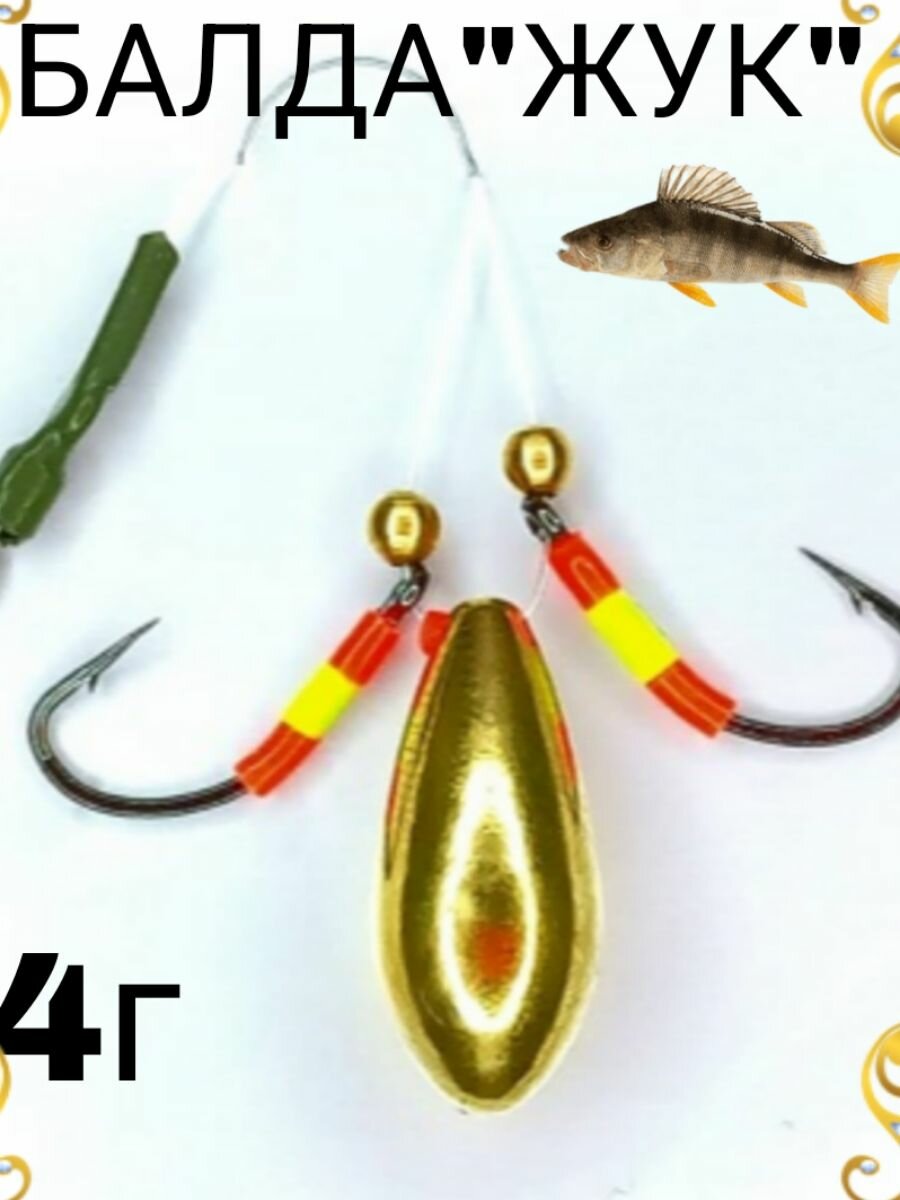 Мормышка балда, личинка, жук, куколка