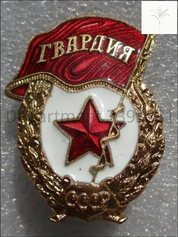 Коллекционный значок Гвардия СССР, латунь, эмаль, винт, 46х35 мм, 1960 год