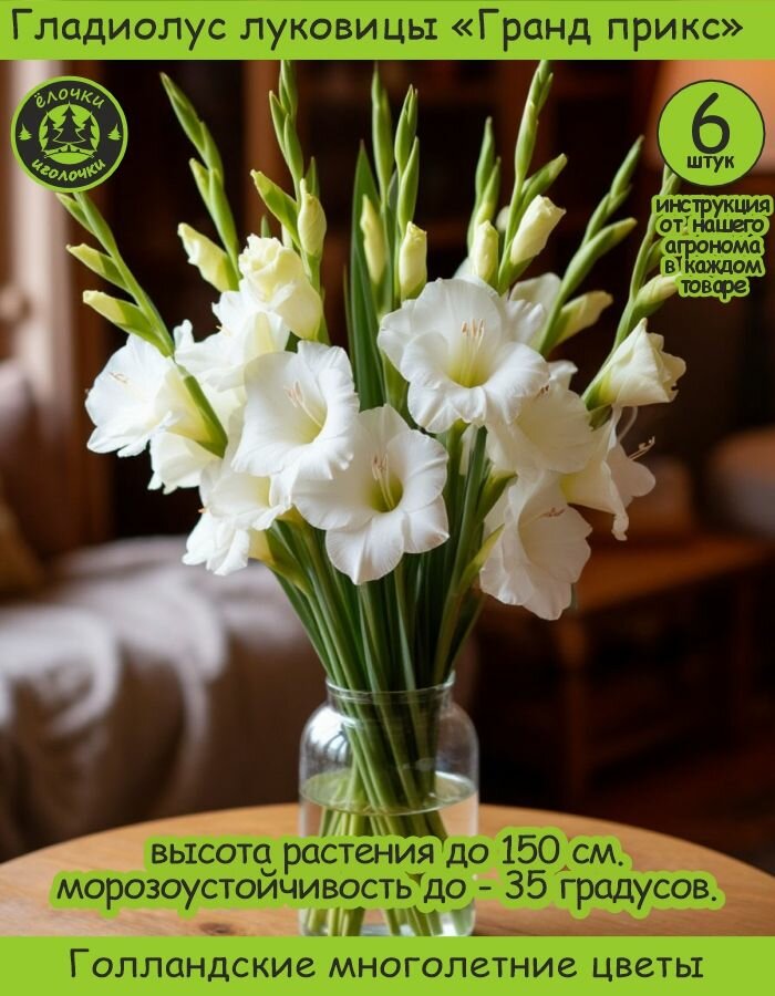 Гладиолус Луковица, Гранд прикс крупные, 6шт