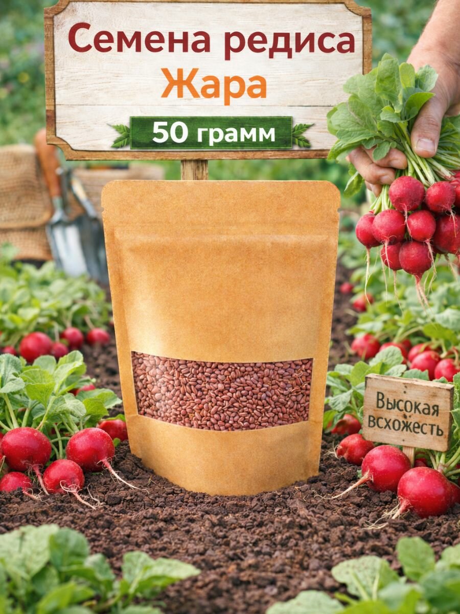 Семена редиса Жара 50 г , раннеспелый сорт , высокая всхожесть , быстрый урожай , для открытого грунта и теплиц