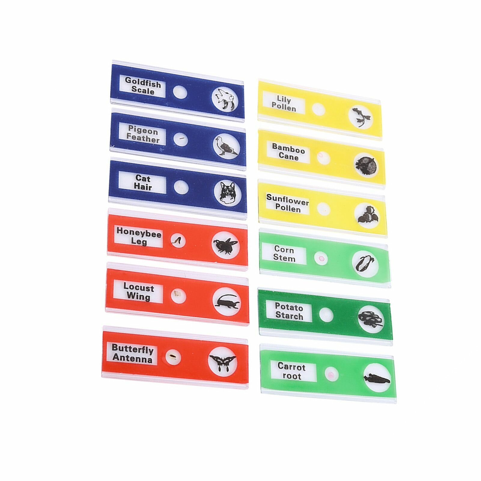 12 шт. Пластиковые готовые предметные микроскопические стекла с животными, насекомыми, растениями и т. д.