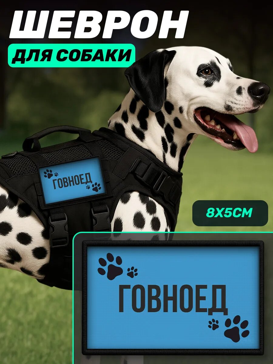 Шеврон на липучке для собак Говноед