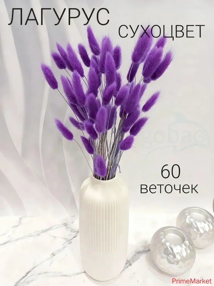 Стабилизированные цветы Лагурус, 55 см, 100 гр, 60 шт